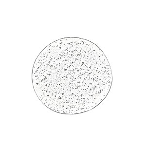 Paul Mitchell MITCH Heavy Hitter Daily Deep Cleansing Shampoo for Men, For All Hair Types, 33.8 fl. oz.