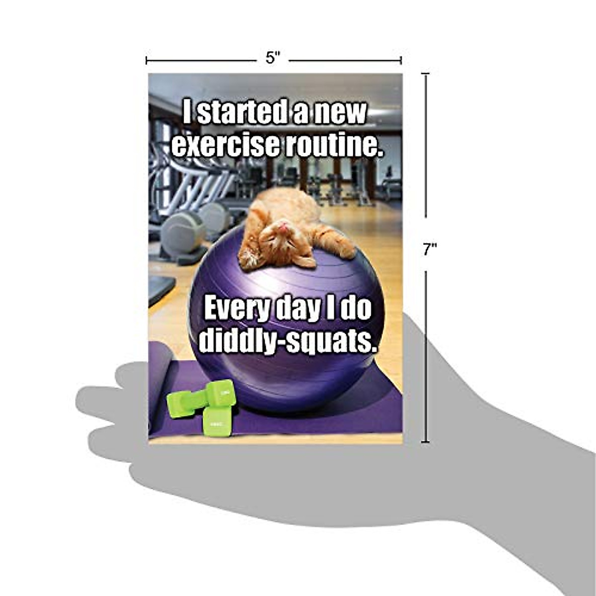 NobleWorks - 1 Happy Birthday Card with Funny Animals - Wildlife and Pet Humor, Fun Birthday Celebration Notecard - Diddly Squats C3955BDG