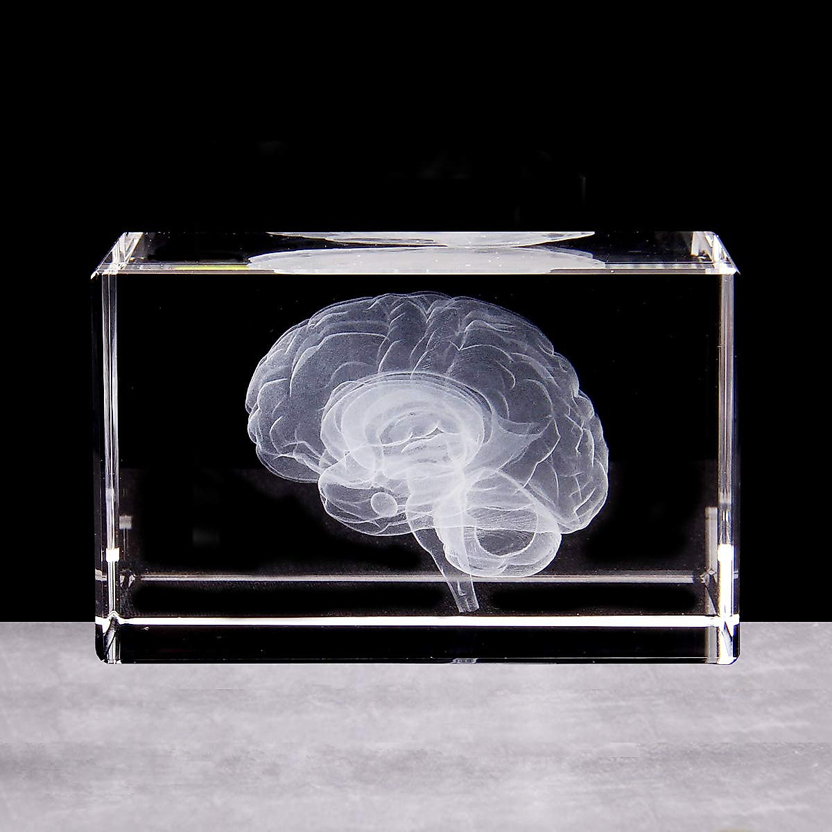3D Human Brain Anatomical Model Paperweight(Laser Etched) in Crystal Glass Cube Science Gift (No Included LED Base)(3.1x2x2 inch)