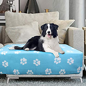 AK KYC 6 Pack Mixed Puppy Blanket Cushion Dog Cat Fleece Blankets Pet Sleep Mat Pad Bed Cover with Paw Print Kitten Soft Warm Blanket for Animals…