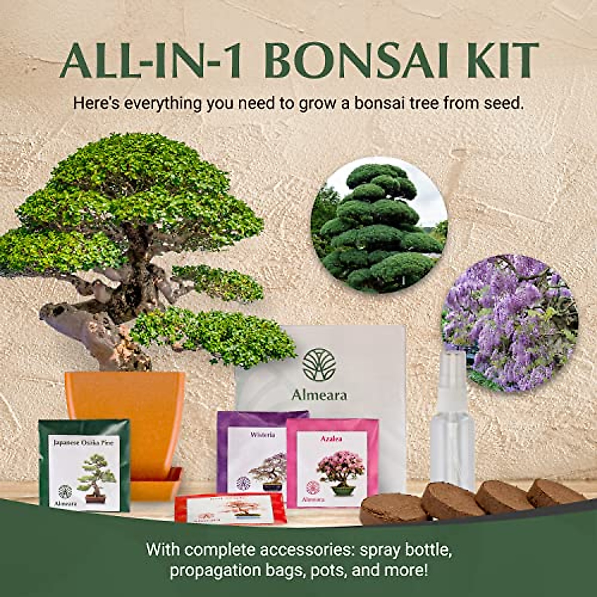 Almeara Indoor Bonsai Tree Kit - Beginner's Starter Kit with 4 Types of ...