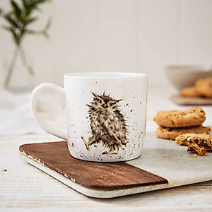 Royal Worcester Wrendale Wrendale What A Hoot Mug, Multi-Colour