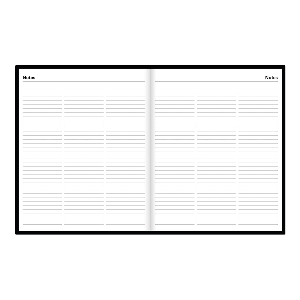 Letts of London Standard Daily Planner, 12 Months, January to December, 2024, Day-Per-Page, Quarto Size, 10.25" x 8.25", Black (C10YBK-24)