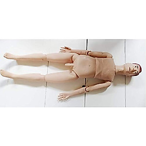 IntBuying Life Size Male Education Mannequin Model Patient Care Teaching Human Manikin Man for Education Study, Manikin for Nurse Training, Male Medical Mannequin Full Body