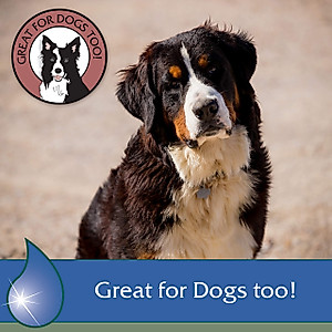 Farnam Vetrolin Bath Ultra-Hydrating Shampoo for Horses and Dogs, 32 Ounces