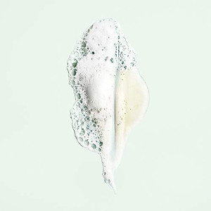 Oribe Shampoo for Moisture & Control , 8.5 Fl Oz (Pack of 1)