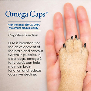 Omega-Caps High Potency Snip Tips for Medium to Large Breeds-Vet Formulated for Healthy Radiant Skin & Coat. Contains Omega 3 for Joint & Immune System Support, Easy to Dose, 60 Snip-tip Capsules