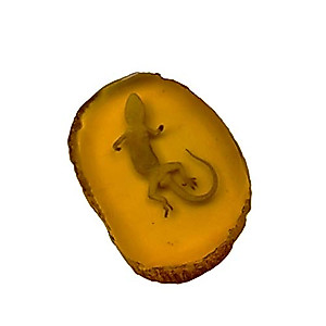 Garneck Amber Fossil Insect,Artificial Amber Insect Specimen Pendant Butterfly Scorpions Insects Amber Stone Ornament for Collection(Gecko)