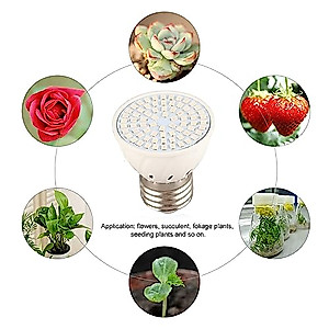 Full Spectrum Grow Light, 36W LED Grow Light Bulb -52 Red + 20 Blue AC220V 72 LEDs SMD2835 Plants LED Lamp Bulbs for Small Grow Box, Grow Tent, DIY Hydroponics, Bonsai, Garden etc