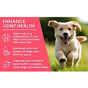 Petz Park Glucosamine for Dogs - Hip & Joint Support Powder with Chondroitin & MSM - Arthritis Pain Relief, Hip Dysplasia Treatment - 800mg Glucosamine - 90 Scoops