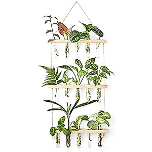 Mkono Plant Propagation Tubes, 3 Tiered Wall Hanging Plant Terrarium with Wooden Stand Mini Test Tube Flower Vase Glass Planter for Hydroponic Plant Cutting Home Garden Office Decor Plant Lover Gift