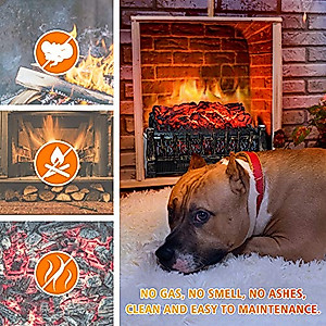 LIFEPLUS Electric Fireplace Log Heater, 21 Inch Fireplace Insert w/Remote Control 8H Timer Realistic Flame Ember Bed Adjustable Brightness, Overheat Protection, Fake Fire for Christmas Home Decor