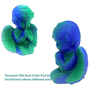 TECSONAR Matte Dual Color PLA Filament Coextrusion Filament Multicolor 3D Printer Filament 1kg Dichromatic Filament 1.75mm (± 0.03 mm) Compatible w/Most of 3D Printer, Matte Royal Blue Aqua Green