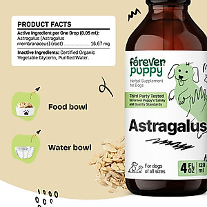 Astragalus Root for Dogs - Immune Support for Dogs w/Astragalus Root - Pet Supplements for Immunity w/Astragalus Liquid Extract - Herbal Dog Immune Vitamins and Supplements - Joyful Pet Care - 4 oz