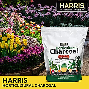 Harris Horticultural Charcoal, Premium Biochar Soil Amendment for Plants and Terrariums, 2qt