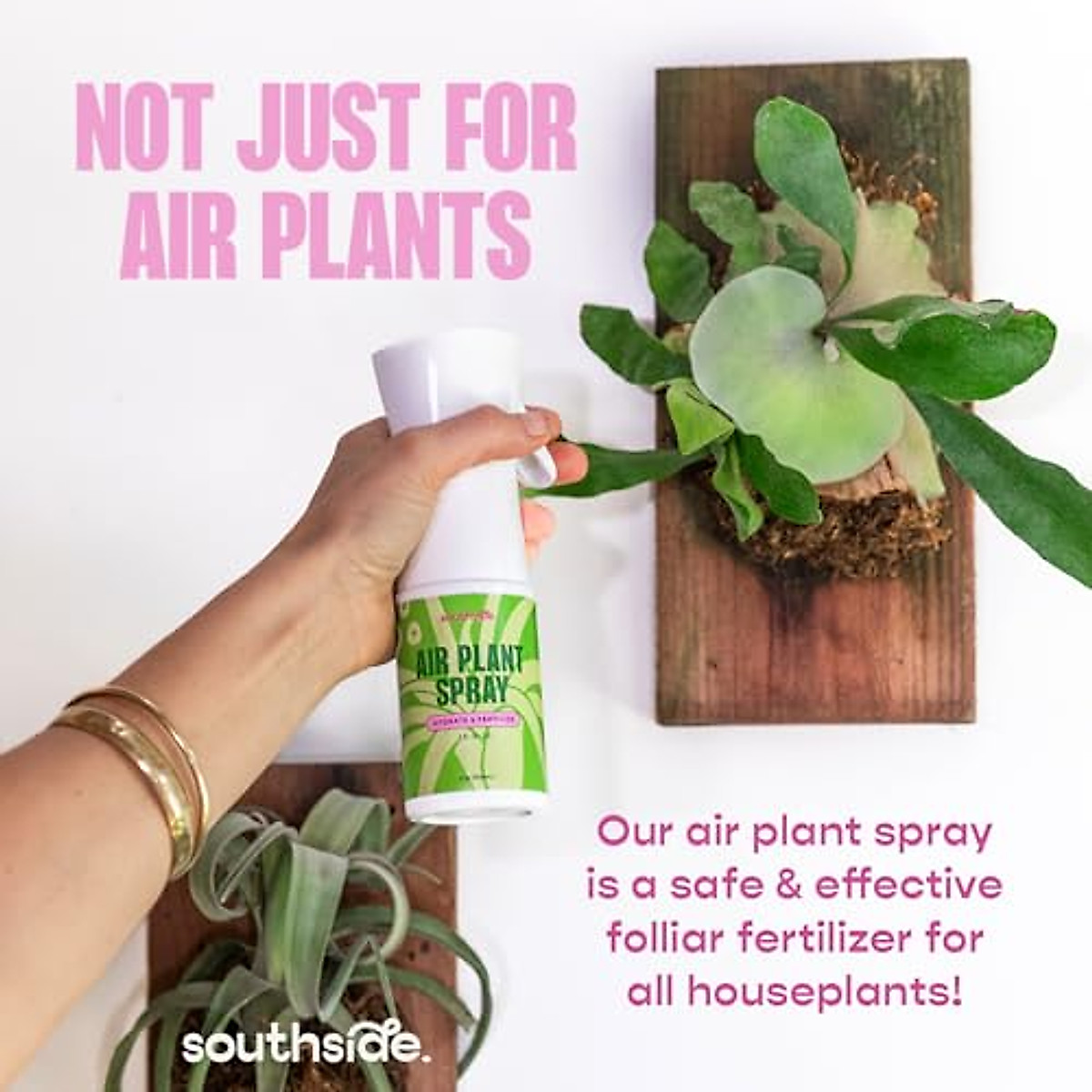 Air Plant Fertilizing Spray by Southside Plants - Fertilizer Mist for Houseplants, Weekly Plant Food - Gentle Mist Formula for Miracle Feed & Grow - 7.3 oz