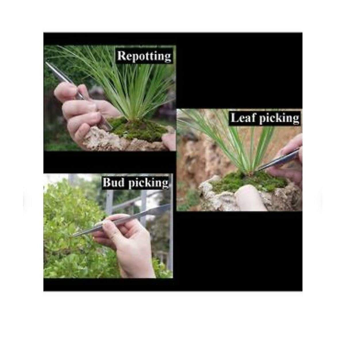 Cynamed Bonsai Gardening Tweezer with Blade Spatula 8-1/4in (210mm) Stainless Steel for Micro Landscape, Diamond Painting, Electronic Components (Stainless Steel, Straight Blade)