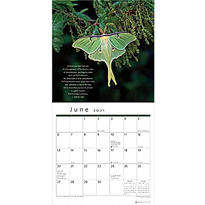 The Power of Now 2021 Wall Calendar: A Year of Inspirational Quotes