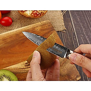 YOUSUNLONG Paring Knives 3.5 Inch - Japanese Hammered Damascus Steel Peeling Knife - Natural Walnut Wooden Handle
