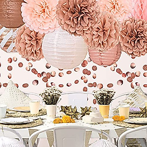 Rose Gold Party Decorations, Tissue Pom Poms, Paper Lanterns, Honeycomb Ball, Paper Circle Dots Garlands, 13 Pcs Hanging Party Supply Set for Wedding Bridal Shower Baby Shower Birthday - Rose Gold
