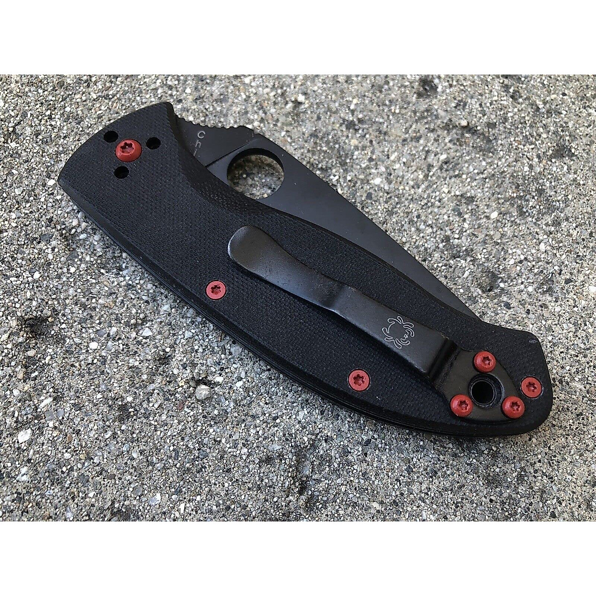 Stainless Steel Screws for Spyderco Ambitious Persistence Tenacious Resilience Pocket Knife
