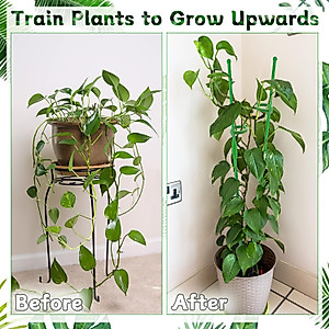 Plant Stakes,18Inch & 11Inch Plant Support Stakes,HAINANSTRY Adjustable Length Garden Stakes,Plant Stakes for Indoor and Outdoor Plants,Tomatoes/Beans/Orchid/Vegetable Stakes for Garden