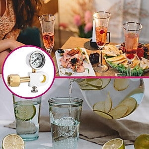 GURUDAR CO2 Cylinder CO2 Canister Refill Adapter with Pressure Gauge, CGA320 CO2 Tank to Pink Quick Connect Refill Station for Terra Art Gaia DUO Aqua Fizz Soda Maker Machine