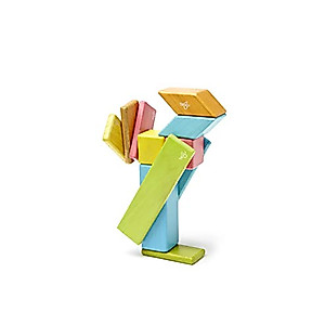 Tegu 14 Piece Magnetic Wooden Block Set in Tints