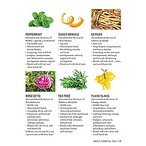 Essential Oil Recipes for Home and Body Care: 100+ Organic Products to Help You Feel Better (Fox Chapel Publishing) Make Your Own Skin Care, Soap, Lip Balm, Lotion, Aromatherapy Blends, and More