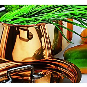 Bourgeat 365018 Copper Lid for Sauce Pan, 14-Ounce