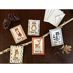 A Paper Smile Woodland Animal Thank You Cards Boxed Set 35 Note Cards