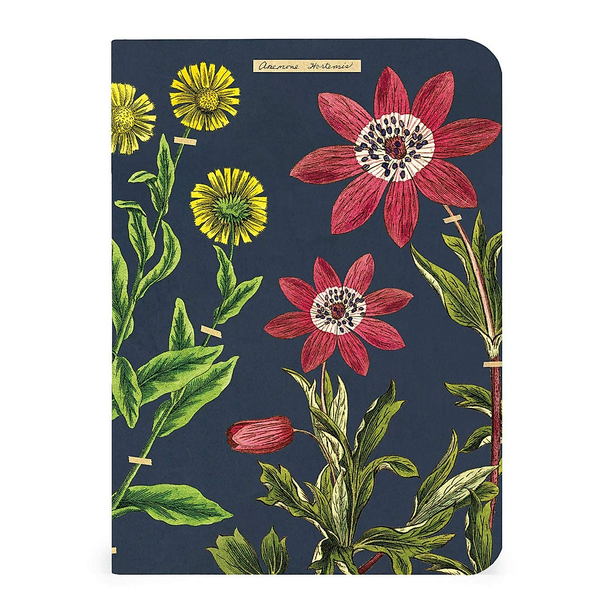 Herbarium Mini Notebooks