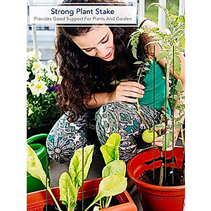 24" Green Wood Plant Stake, Floral Picks, Wooden Sign Posting Garden Sticks (25 Pcs) by Royal Imports