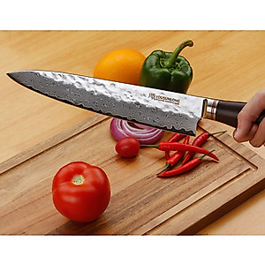 YOUSUNLONG Gyuto 10 inch Pro Chef's Knives Japanese Hammered Damascus Natural Leadwood Handle with Leather Sheath