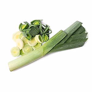 Large American Flag Leek Seeds for Planting, 500+ Heirloom Seeds Per Packet, (Isla's Garden Seeds), Non GMO Seeds, Botanical Name: Allium ampeloprasum, Great Home Garden Gift