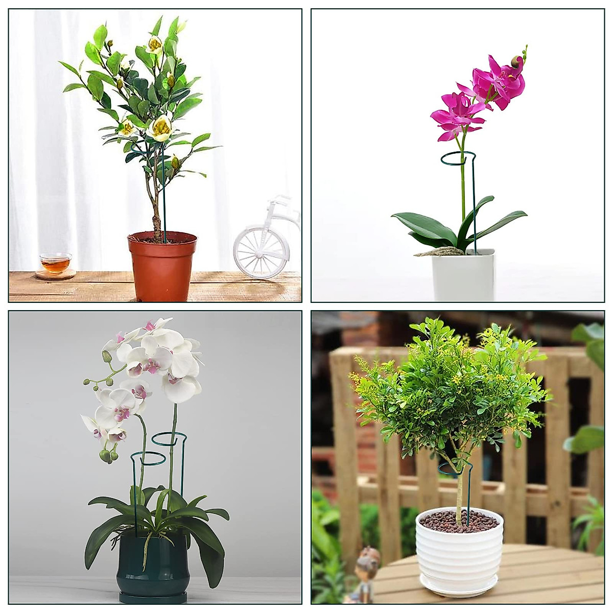 Plant Stake Support 14 Packs 16 Inches，Single Stem Stake Plant Cage Support Ring，Garden Single Stem Plant Stakes for Flowers Amaryllis Orchid Lily Rose Tomatoes…