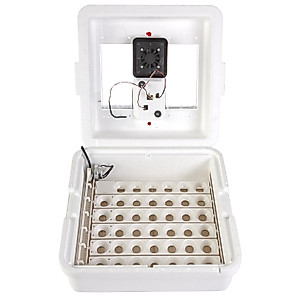 Little Giant® Digital Circulated Air Incubator | 41 Eggs | Egg Incubator with Fan, Temperature and Humidity Control | Hatching Eggs