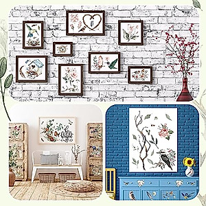 12 Sheets Rub on Transfers for Crafts and Furniture Rub on Transfers Stickers Classic Bird Floral Lavender Butterfly Decals for Home Office Paper Wood DIY Craft, 5.5 x 5.7 Inch (Bird)