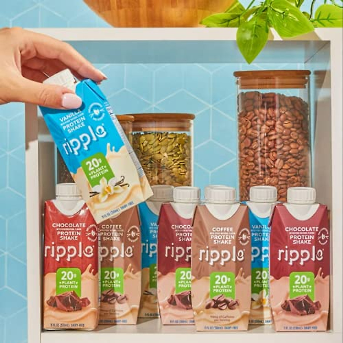 Ripple Vegan Protein Shake, Vanilla | 20g Nutritious Plant Based Pea Protein in Ready to Drink Cartons | Non-GMO, Non-Dairy, Soy Free, Gluten Free, Lactose Free | Shelf Stable | 11 Fl Oz (4 Pack)