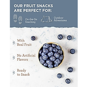 READYWISE - Simple Kitchen, Freeze-Dried Blueberries & Yogurt, Pack of 1 Vegetarian, Gluten Free, Snacks, Blueberries, Yogurt, Dried Fruit, Pre Workout, Healthy Snacks, Camping, Survival Food