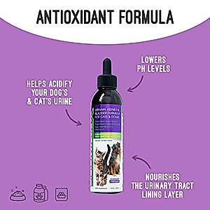 UroMAXX, Cat & Dog Urinary Tract Infection Treatment, Bladder & Kidney Support for Dogs and Cats, Powerful yet Gentle Pet Care, With Liquid Cranberry & Glucosamine, Chicken Flavor, 6 oz Bottle, 1 Pack