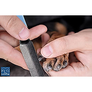LOVINPUP Dog Nail Filer, Professional Nail Grooming Tool, Dog and Cat Nail Files, for Smoothing Rough Edges of Pet’s Nails, Best Nail Filer for Small/Large Dogs & Cats (1 Dog Nail Filer)