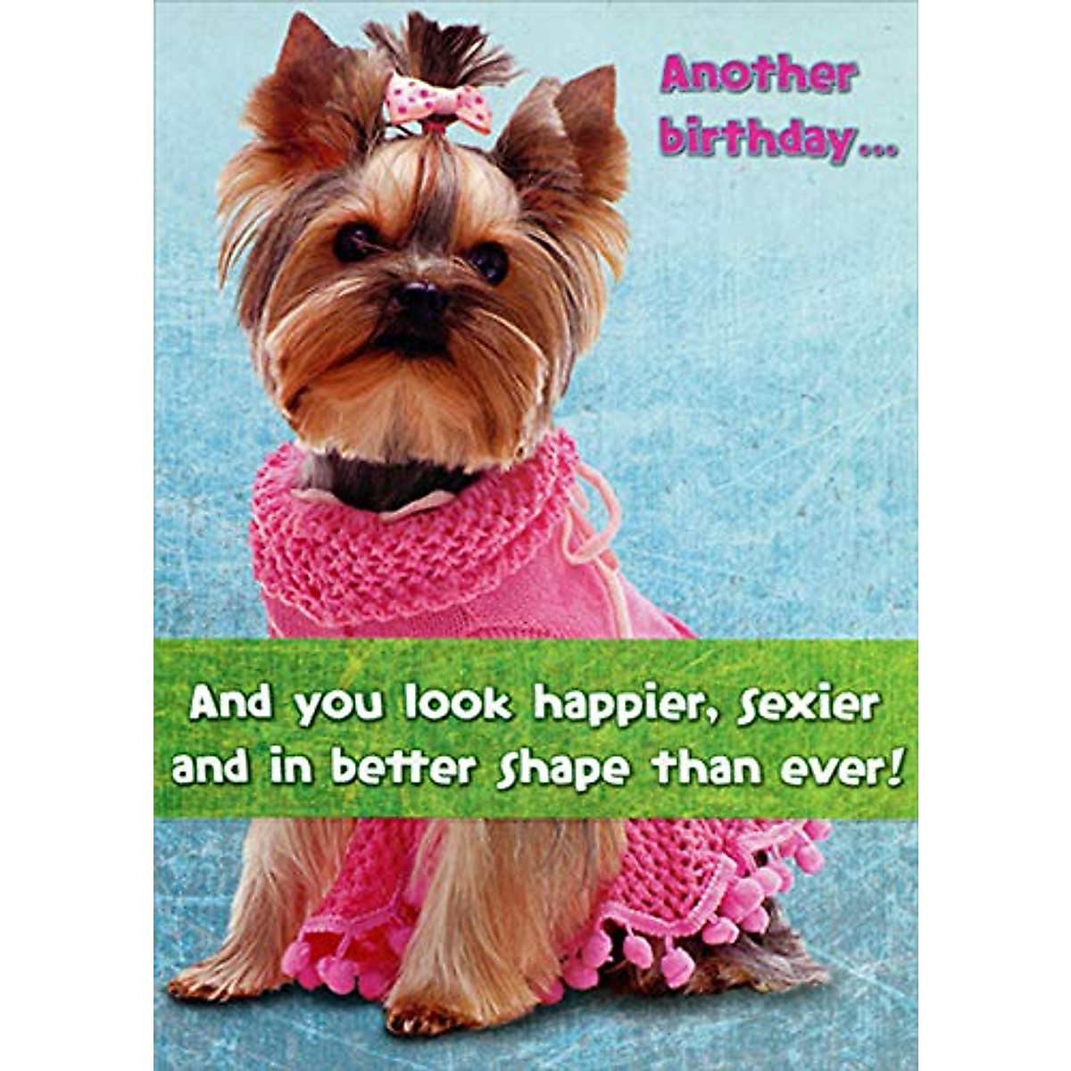 Designer Greetings Yorkshire Terrier : Happier, Sexier, Better Shape Funny : Humorous Dog Risque Feminie Birthday Card for Her : Woman : Women