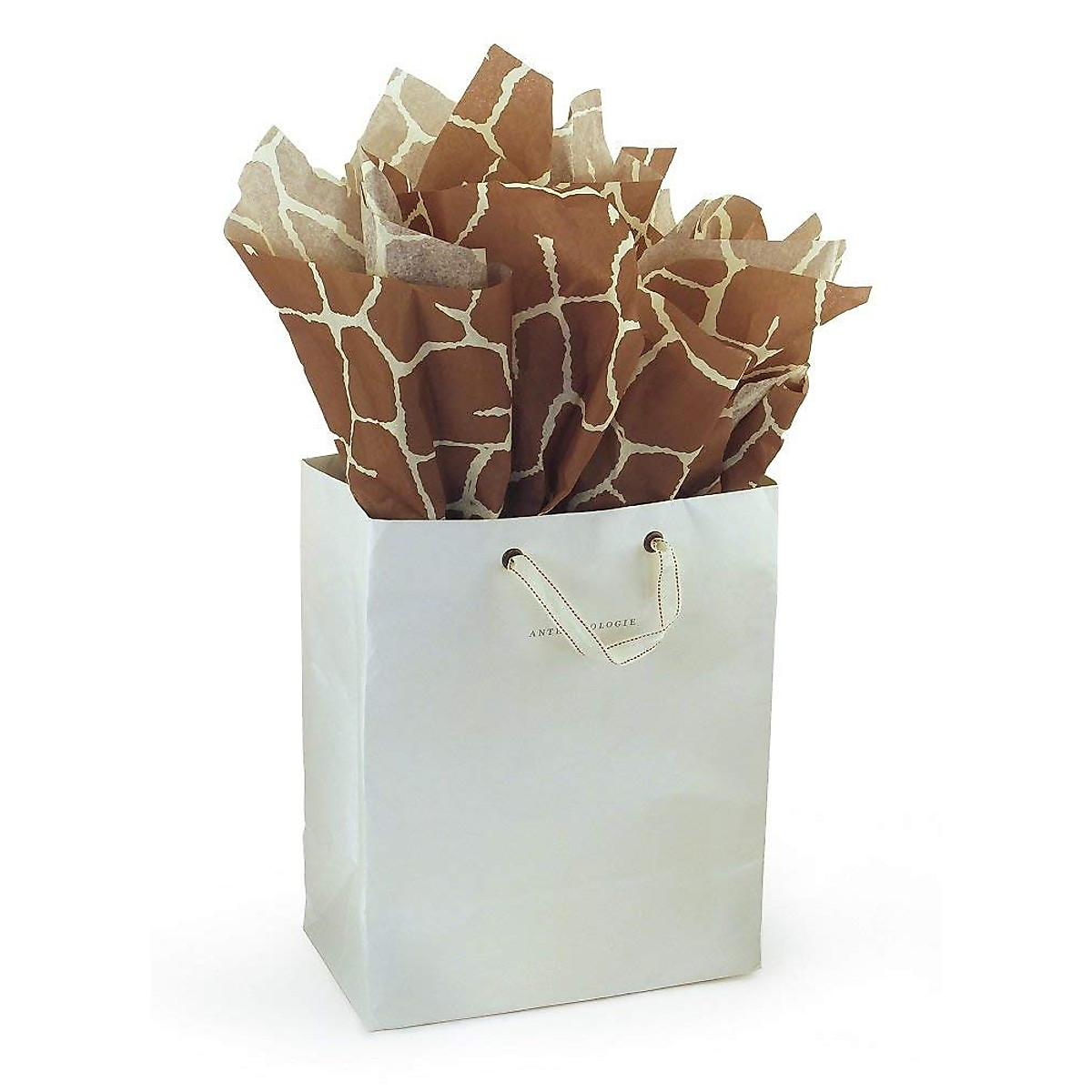 Hygloss Tissue Paper, 20-Inch by 30-Inch, 4 Each of 5 Animal Designs, 20-Pack, Assorted, Model: 88209