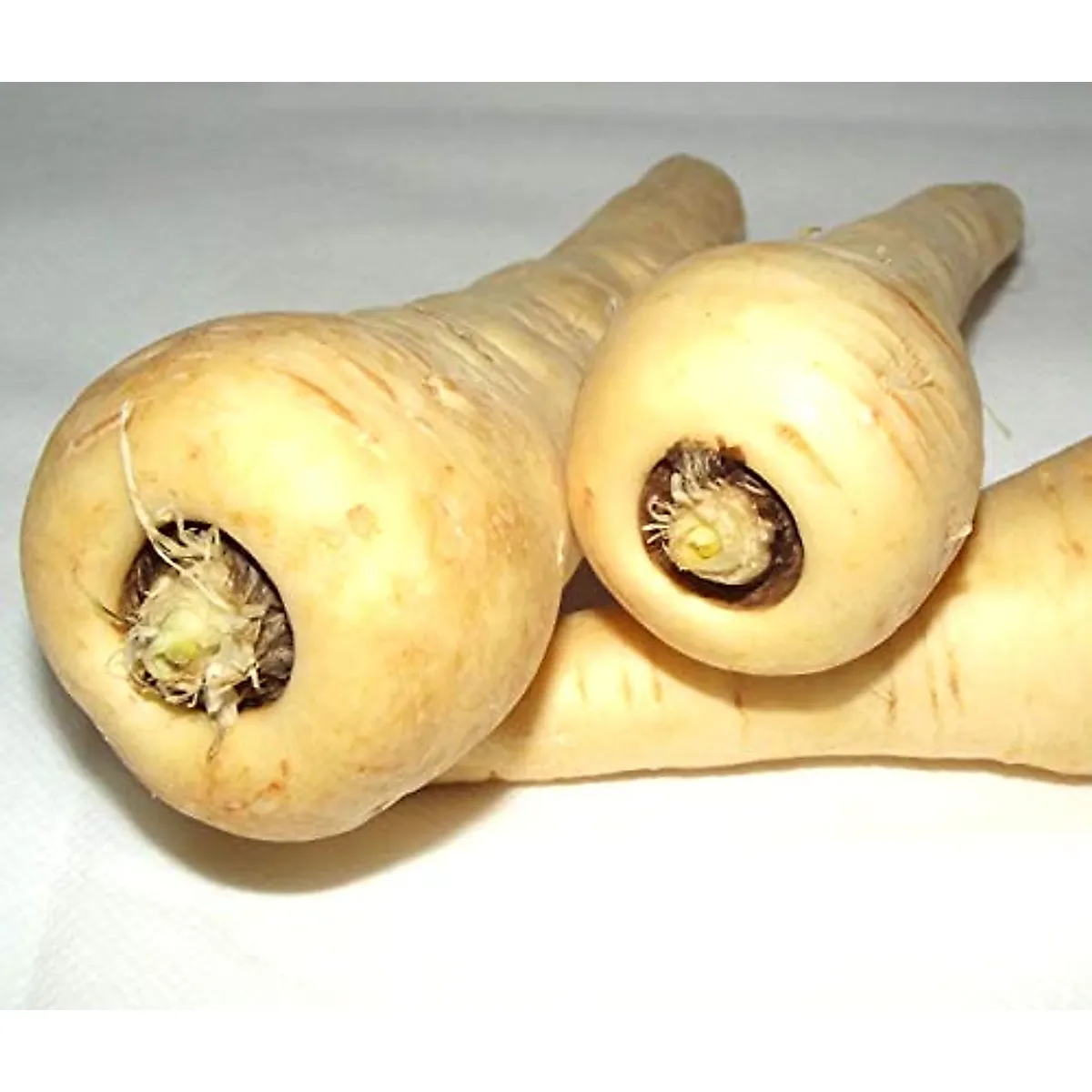 Harris Model Parsnip Heirloom Seeds for Garden Growing bin303 (180 Seeds, or 1 Gram)