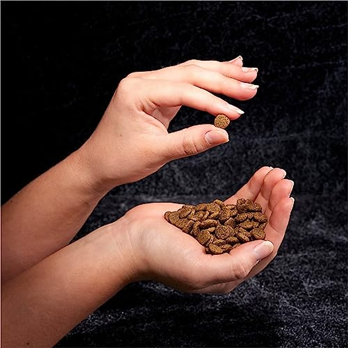 CRAVE Grain Free Adult High Protein Natural Dry Cat Food with Protein from Salmon & Ocean Fish, 10 lb. Bag