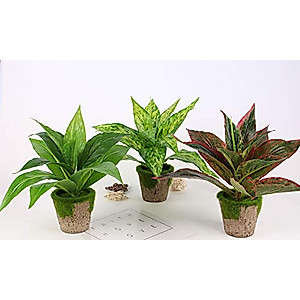 CATTREE Fake Plants Artificial Plant Outdoor Shrubs Faux Grass Plastic Leaves Greenery Bushes Home Garden Wedding Party Decorations Indoor Office Yard UV Resistant Planter Filler Red 2 Pack