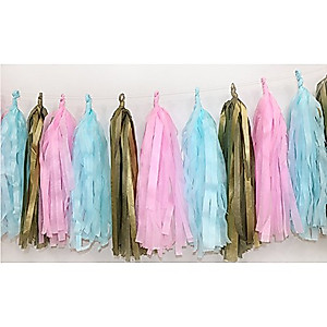15 PCS Tissue Paper Tassels Set of 2 Tassel Garland Banner for Wedding, Baby Shower, Festival Items & Party Decoration, DIY Kits(Matte Gold+Pink+Blue)