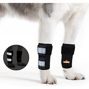 NeoAlly - Front Leg Brace for Dogs and Cats, Dog Leg Brace for Improved Pet Mobility, Dog Leg Sleeve for Carpal Support, Dog Leg Sleeve with Reflective Straps, XXS to XS, Black, 1 Pair