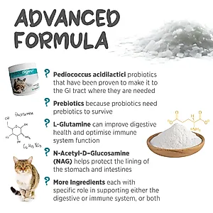 maxxipaws maxxidigest+ Probiotic & Prebiotic Powder Supplement - Digestive & Immune Support for Cats, 7oz